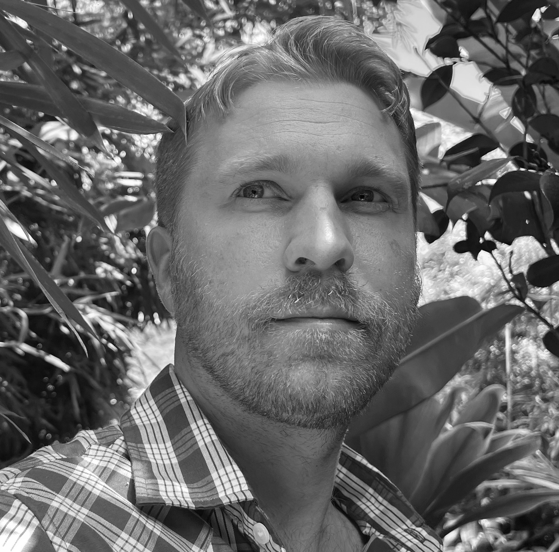 Kevin Knodell - New Lines Magazine