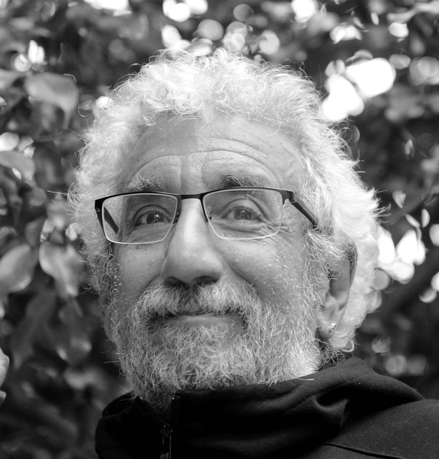 Pablo Alabarces - New Lines Magazine