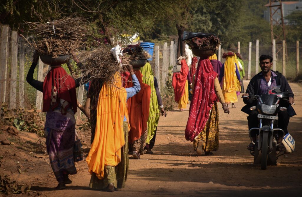 How the Tiger Became an Indian National Symbol - New Lines Magazine